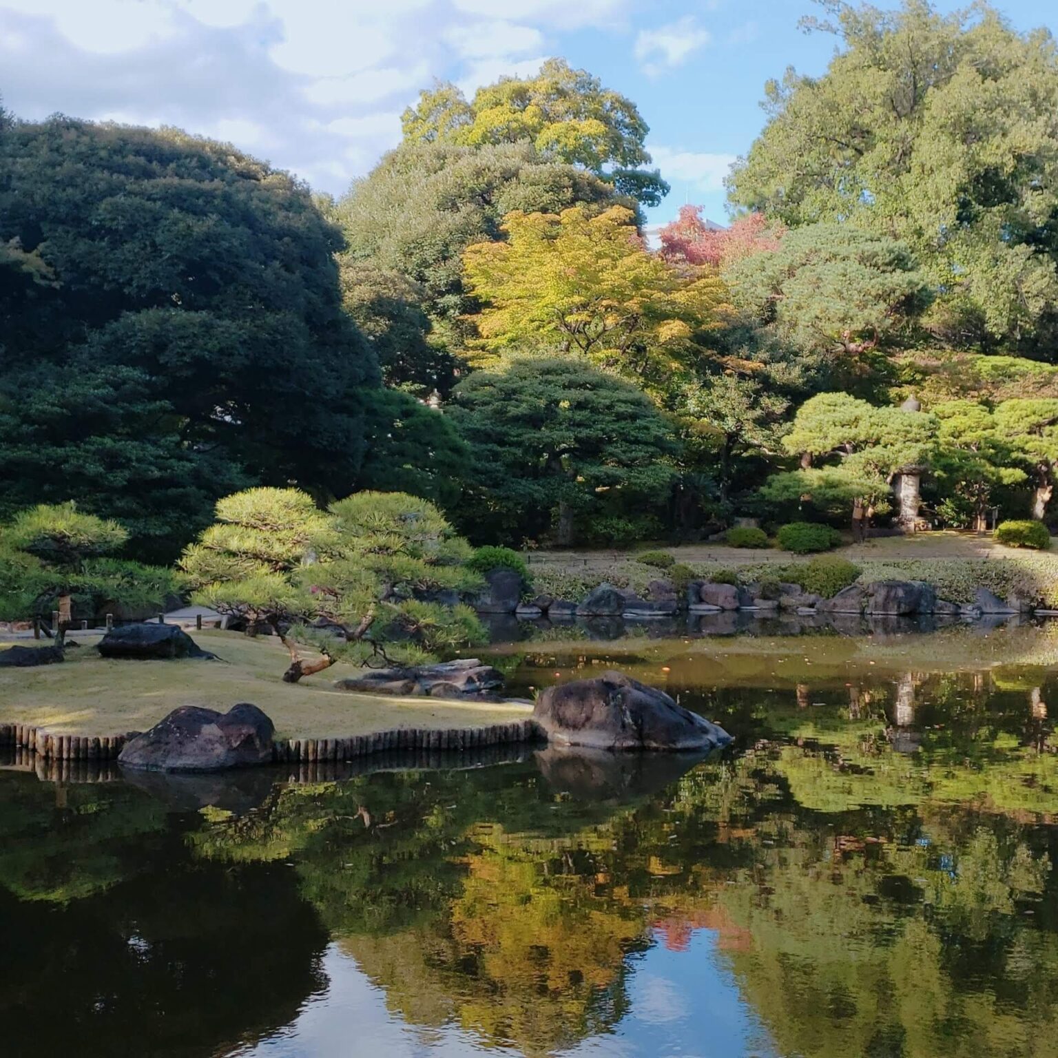旧古河庭園の見どころを解説！バラの見頃や歴史ある洋館に日本庭園まで - 王子さんぽ